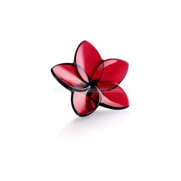 Baccarat in Australia. BLOOM