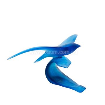 Daum in Australia. Xavier Carnoy